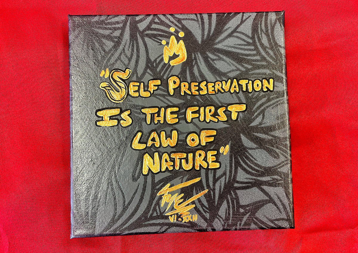 The •RAW-VERBS• Collection (Multiple Pieces) 2022 – Trae IsAAc